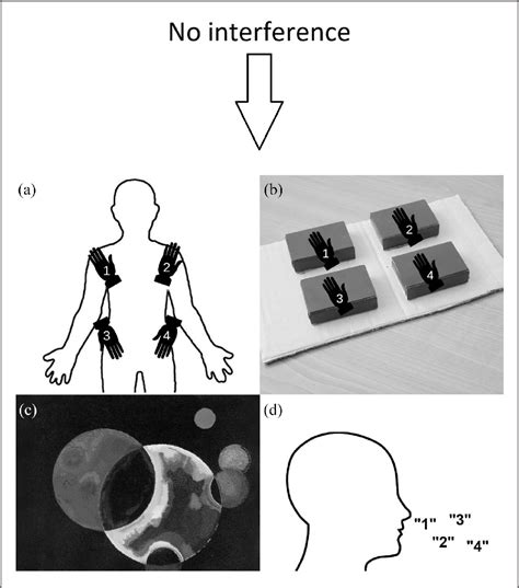 Figure 1 From The Retention Of Proprioceptive Information Is Suppressed By Competing Verbal And
