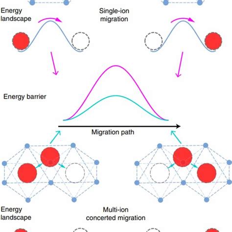 Schematic Of Single Ion Migration Versus Multi Ion Concerted Migration Download Scientific