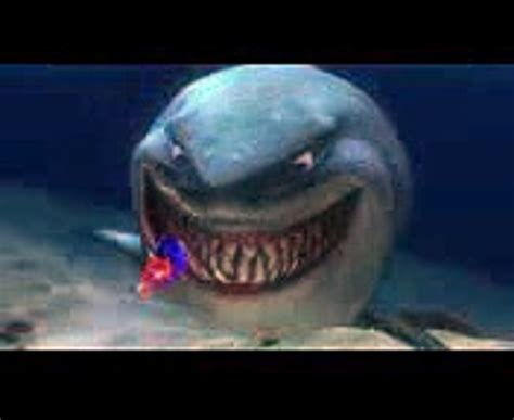 Shark Finding Nemo