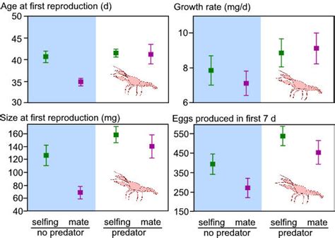 The Malacologist Annual Award Report