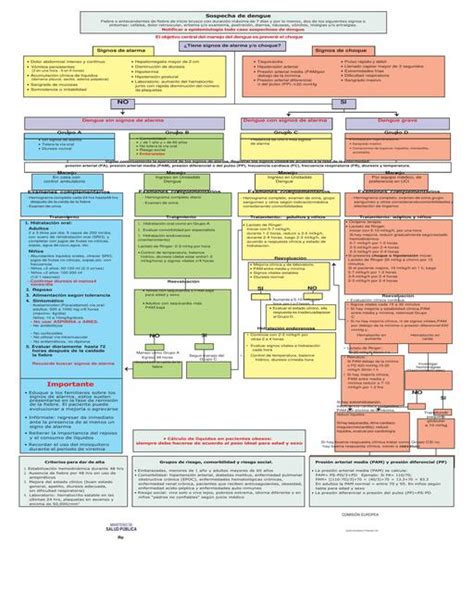 Sospecha De Dengue Maria Rivas Udocz
