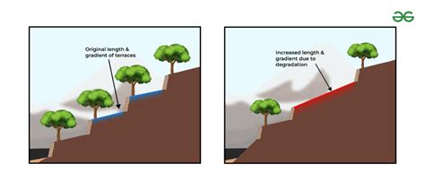 Three Measures To Control Soil Erosion In The Hilly Areas Sale Online