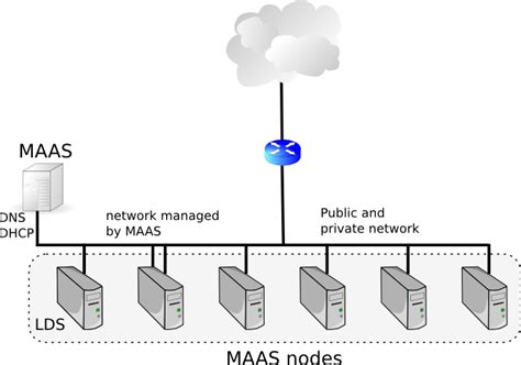 how should i setup maas so that it can be used by the canonical