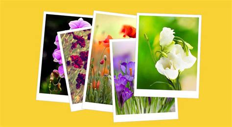 Top 50 Jquery Gallery And Image Sliders For 2020 Website Design In Oakville Burlington Milton