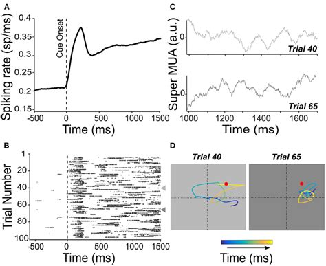 Persistent Activity Is Not Persistent From One Trial To The Next A Download Scientific