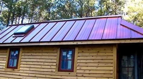 Raising The Roof The Tiny Life