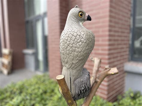 Eagle Decoy Garden Products B2b Supplier