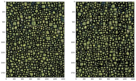 Tree Crown Detection Using Deepforest — The Environmental Ai Book