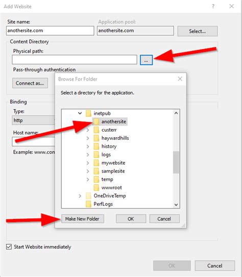 Self Hosting Multiple Websites In Iis