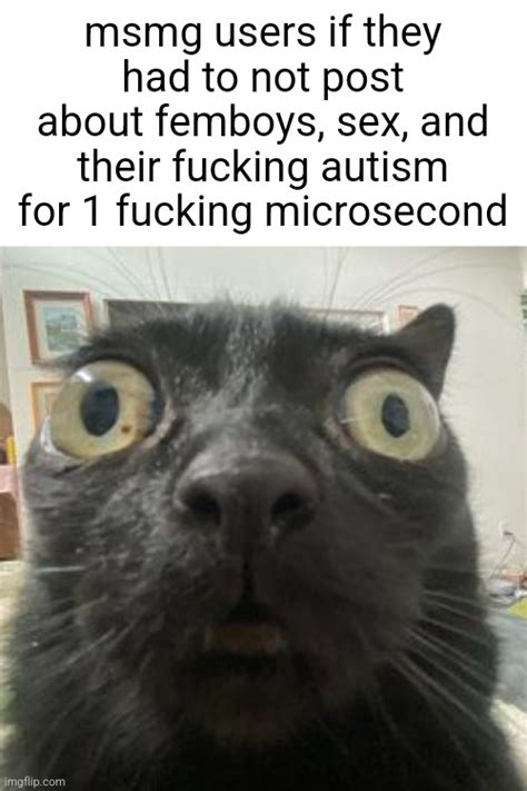 Also Forgot To Mention Irl Problems Like Your Squirrel Dying From