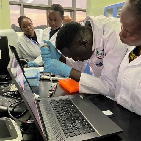 Doh Workshop Protocol Part 3 Library Preparation For Rapid Sequencing Dna V14 Barcoding Kit