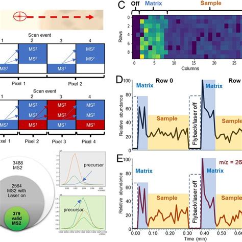 Dda Principles And Matrix Effect In Msi A Graphical Representation