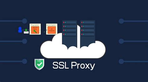 What Is An Ssl Proxy Paid And Free Ssl Proxies List Added Best Proxy