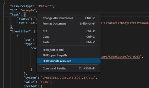 GitHub Laggery Vscode Fhir Tools