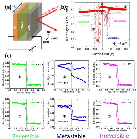 A Schematic Illustration Of Magneto Optical Kerr Effect Moke Download Scientific Diagram