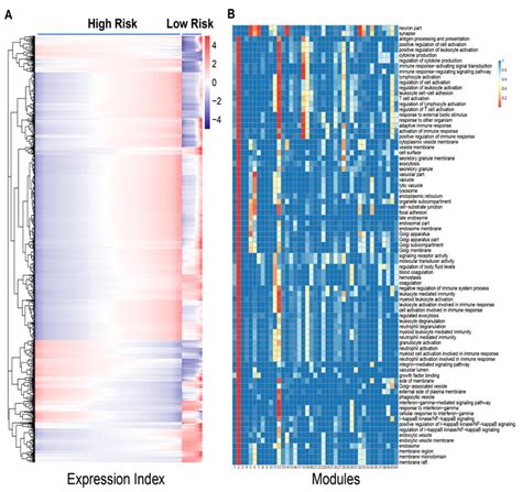 Functional Clustering Of 3439 Genes Into 41 Distinct Modules Across 247