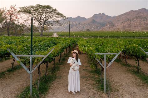 Lazy บรรยากาศเพิ่มเติมของที่นี่สวยงามจับใจจริงๆ เป็นอีกหนึ่งสถานที่ ที่หนูได้มาแล้วชอบมากค่ะ