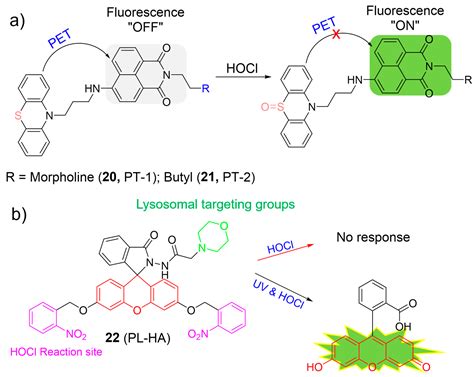 Recent Development Of Lysosome Targeted Organic Fluorescent Probes For Reactive Oxygen Species