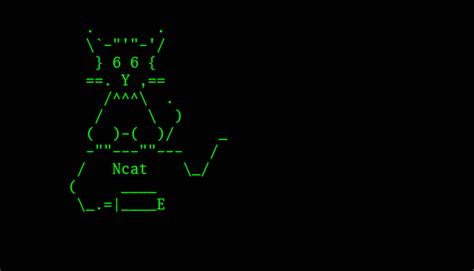 10 个例子教你学会 Ncat Nc 命令 Linuxstory