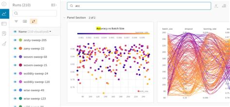 weights and biases for academic research
