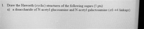 Solved Draw The Haworth Cyclic Structures Of The Following Sugars 5 Pts Disaccharide Of N