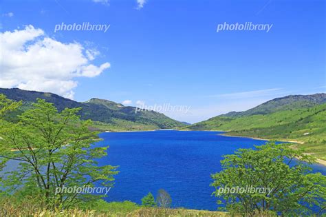 Photolibrary