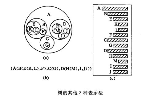 树和森林 Tree And Forest 树型 森林型 Csdn博客