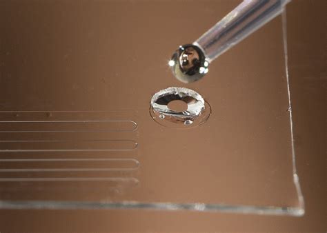 Lab On A Chip Simplifies Diagnostic Testing ECS