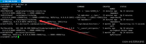 docker安装rocketmq教程 docker 部署rocketmq csdn博客