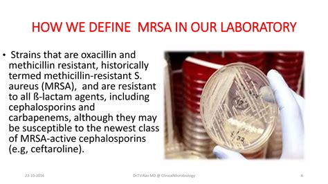 Screening For Mrsa Pptx