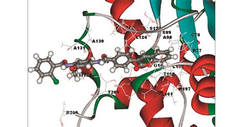 Mycobacterium Tuberculosis Structure