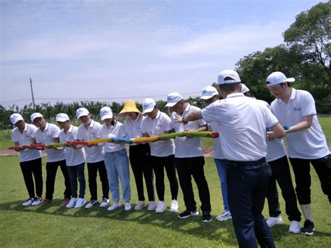 Hpmc Chemical Thickener Binder Adhesive Cellulose Hpmc Equivalent To Mecellose Walocel Natrosol