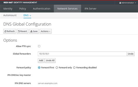 Chapter 97 Managing Dns Forwarding In Idm Configuring And Managing