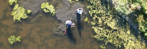 Peat Oxidation And Greenhouse Gas Emissions B Ware