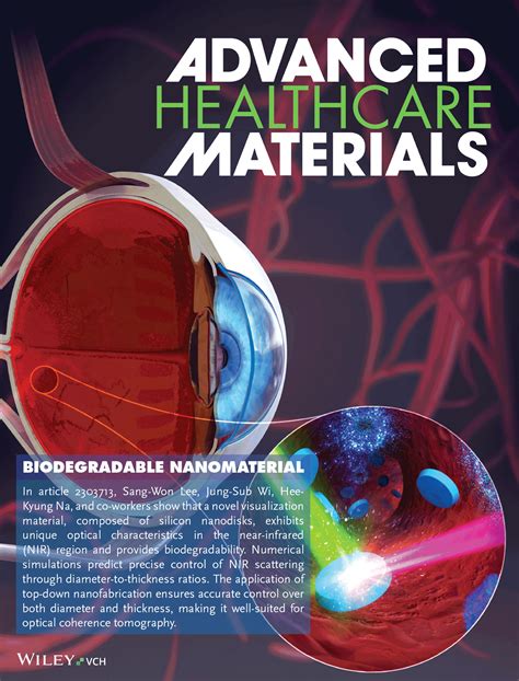 Visualization Materials Using Silicon‐based Optical Nanodisks Vision For Enhanced Nir Imaging
