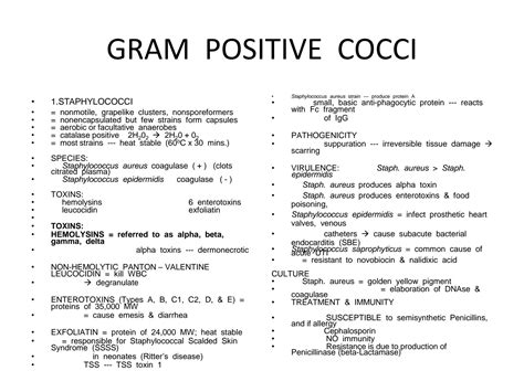 Solution Gram Positive Cocci Studypool