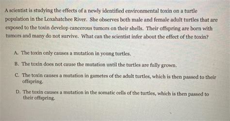 Solved An Original Dna Sequence A Mutated Dna Sequence And