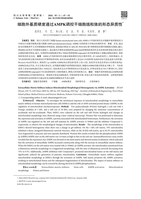 Pdf Extracellular Matrix Stiffness Induces Mitochondrial