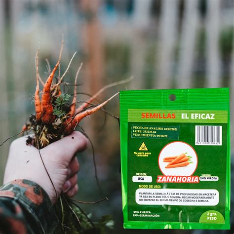 Comprar El Eficaz Semilla De Zanahoria 2 Gramos Walmart Nicaragua