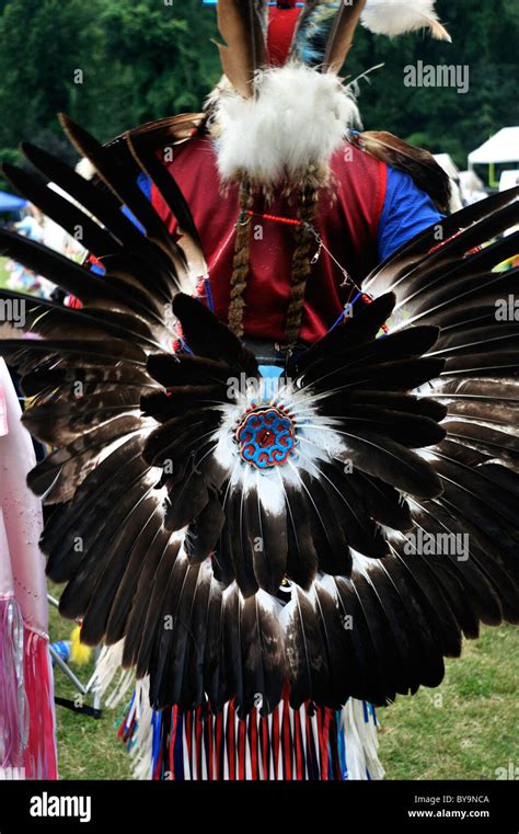 A Native American Pow Wow Competitor With Feather Bustle A Distinctive