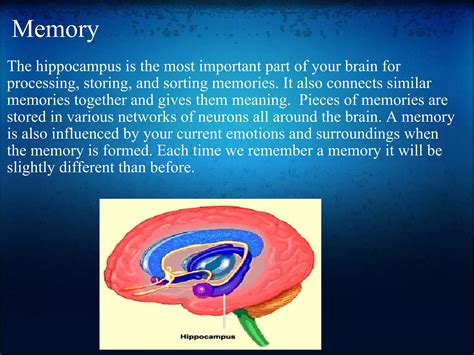 Memory The Types And How It Changes PPT
