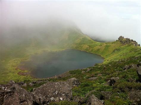 제주해녀 유네스코 무형문화유산등재 온라인 응원 페이지 리라코스님의 블로그에제주 최연소 해녀 김재연님 인터뷰 글이 있네요