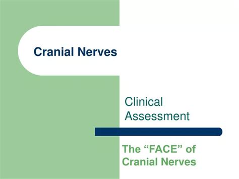PPT Cranial Nerves PowerPoint Presentation Free Download ID 2400971