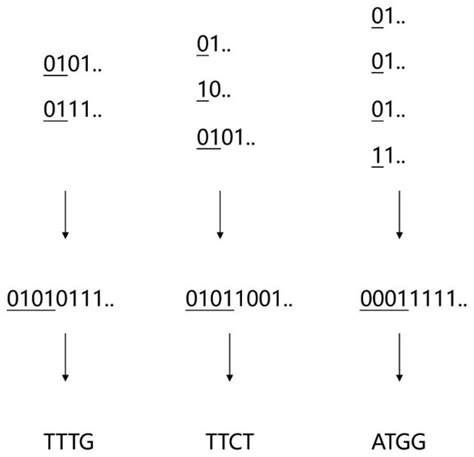 Coding And Decoding Method And Coding And Decoding Device For Binary