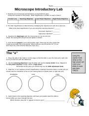 Microscope Introductory Lab Doc Name Microscope Introductory Lab Examine Your Microscope