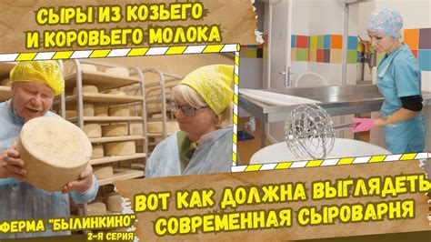 Где делают одни из вкуснейших сыров в России Как созревают сыры подвалах Пахнет ли козий сыр