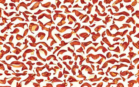 What Is Delicious In Sanskrit QAQooking Wiki