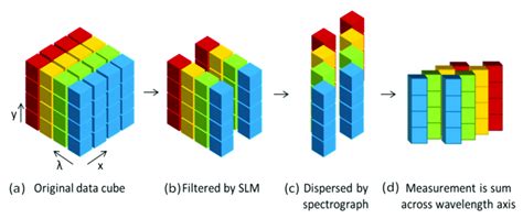 Illustration Of The Content Of The Image As Seen By Ca Multiplexed Download Scientific Diagram