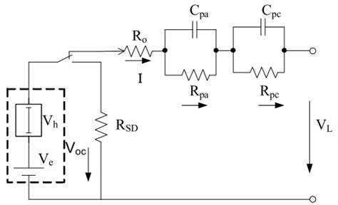 Schematic Representation Of The Dual Polarization Model 15 Download Scientific Diagram