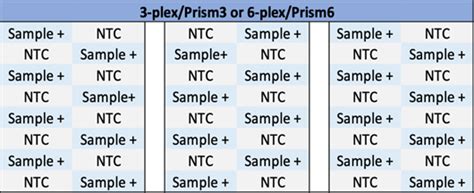 Ruby Chip High Quality Crystal Digital PCR Consumable Prevents PCR Cross Contamination To